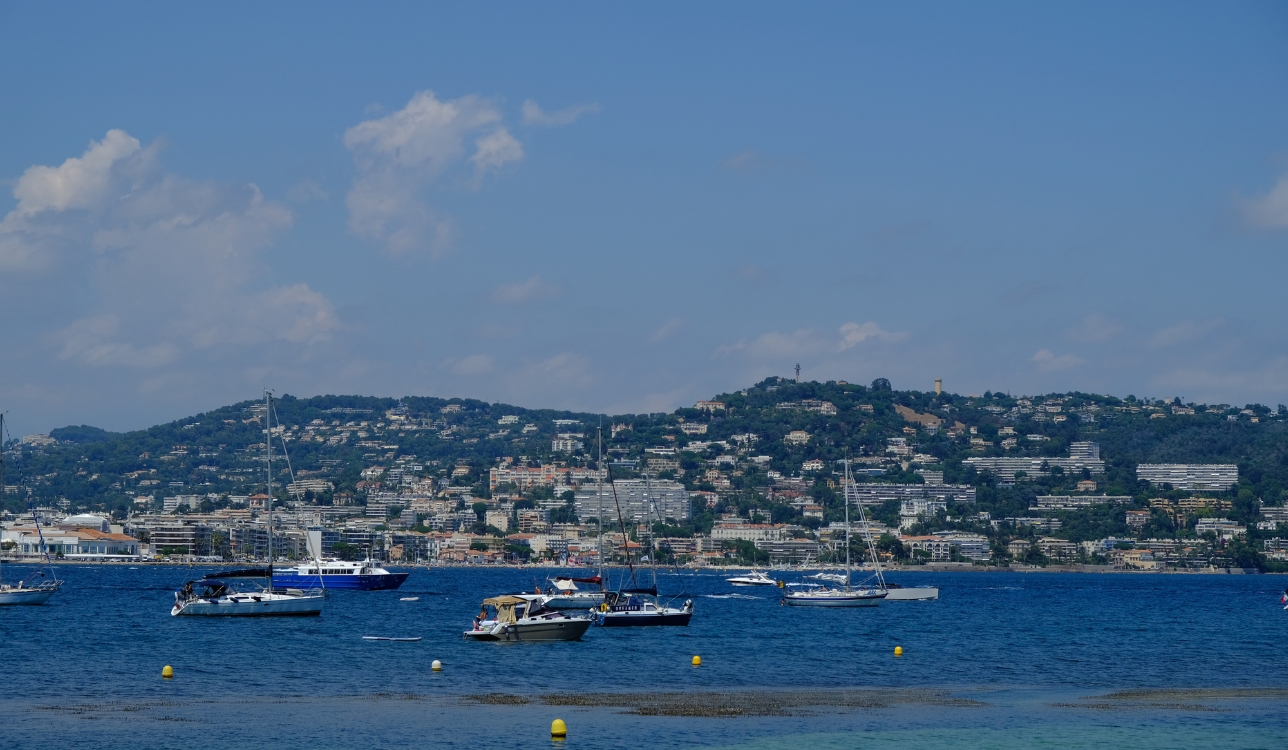 Mise en œuvre d'une Société Publique Locale d'Aménagement (Cannes Pays ...